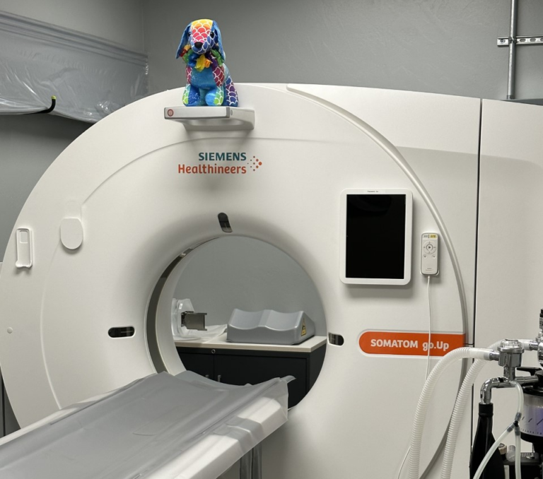 Imaging & Ultrasound Services | Health Veterinary Imaging